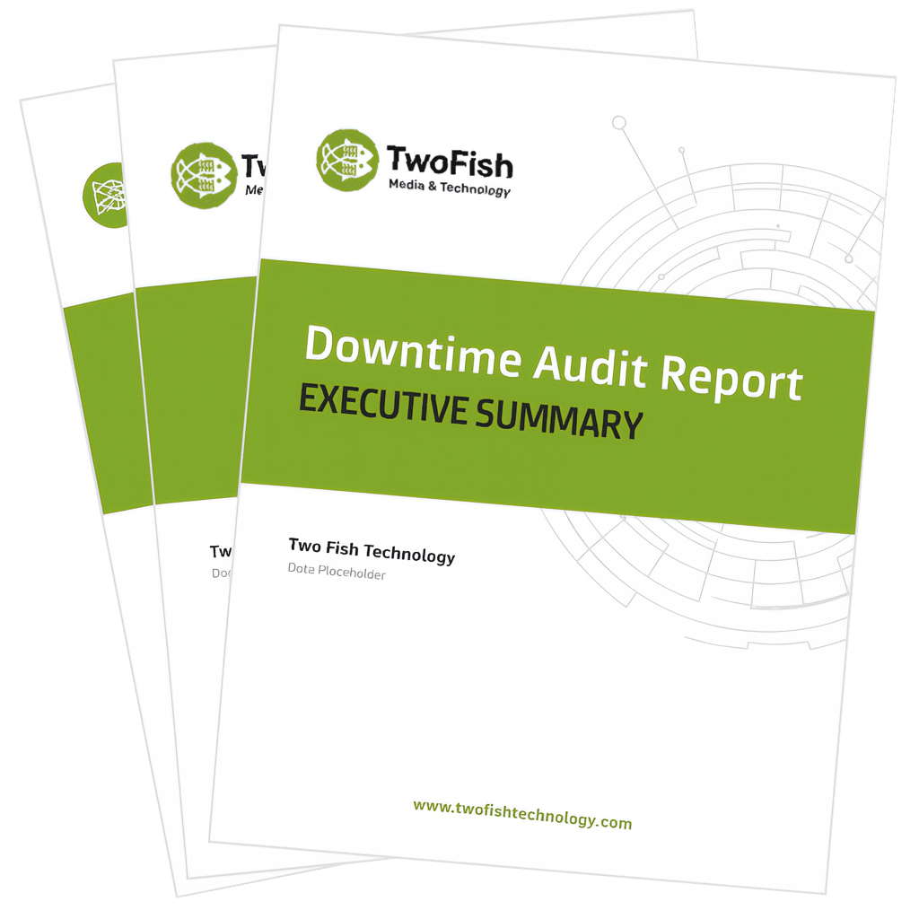 Stop IT Fires Before They Start - Free Downtime Audit - TwoFish Technology